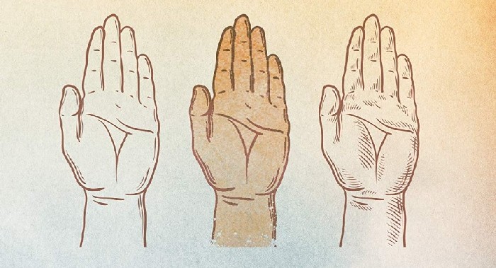 Western palmistry (I): the shape of the hand